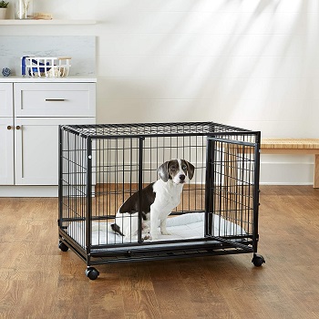 Best types of dog kennel - Ninh Binh DHA fencing manufacturer